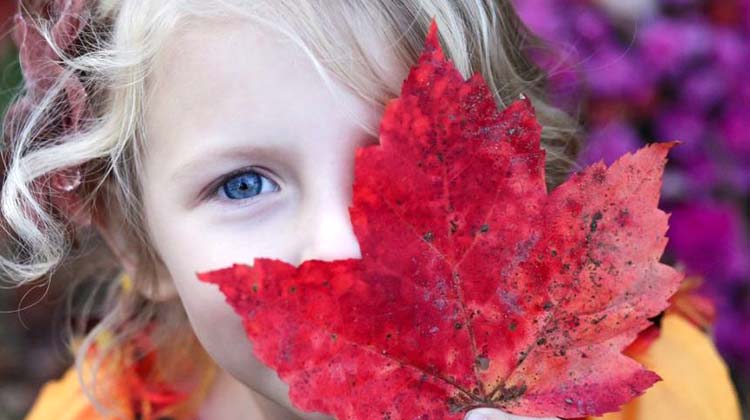 Binding Child Support Agreement
